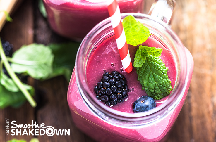 How To Make the Perfect Smoothie - Smoothie Shakedown